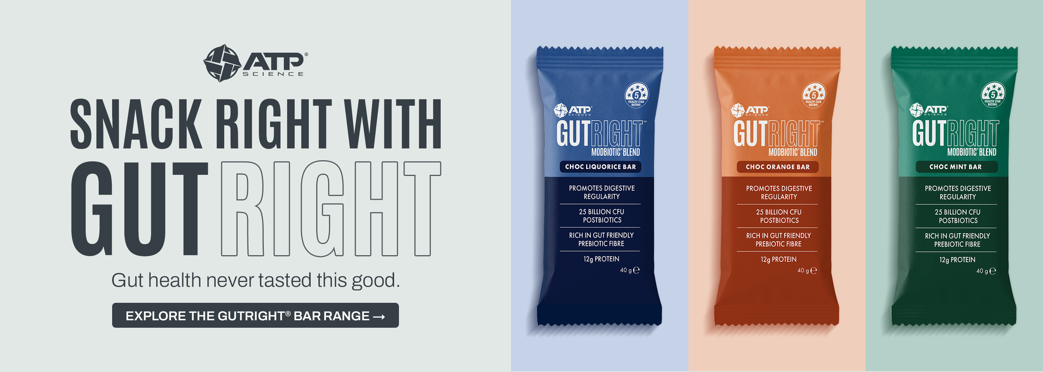 Gutright™ Bar