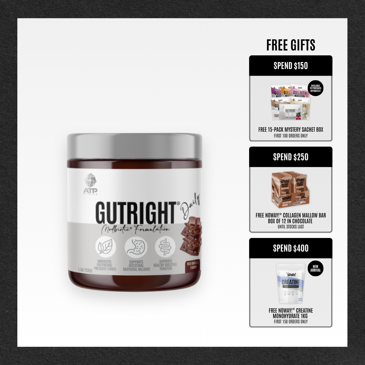 Gutright Daily - Chocolate | Gut Health Supplement by ATP Science